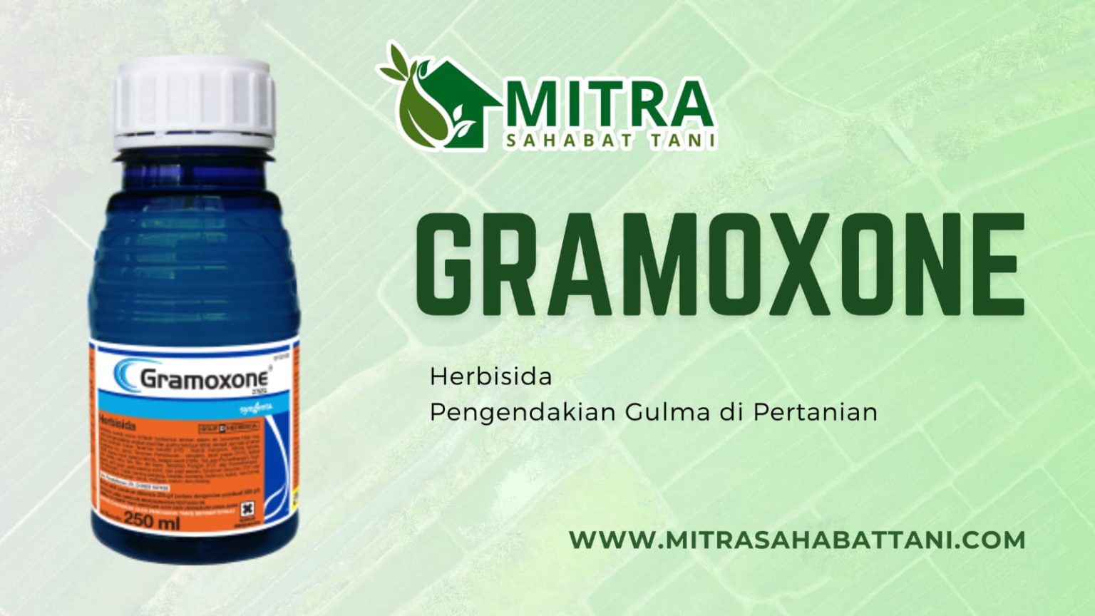 Herbisida Gramoxone untuk Pengendalian Gulma di Pertanian - Mitra ...